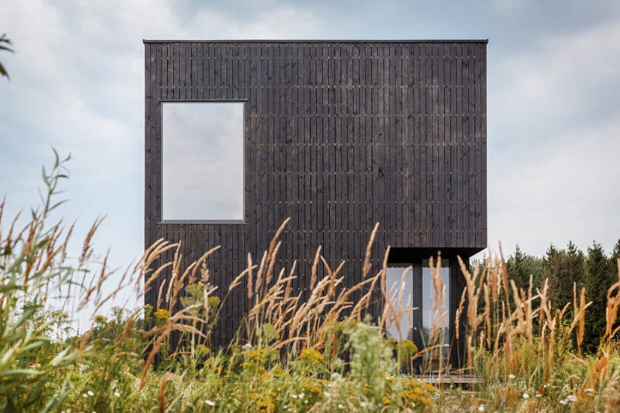 What is the term Yakisugi? - Fein Design